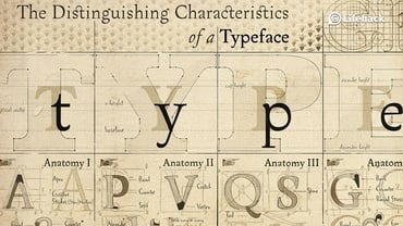How to Get Really Good at Typography in One Month - LifeHack