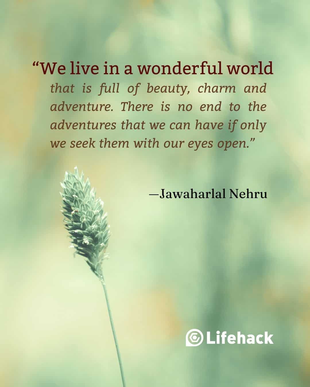 Enjoy Life Quotes And Sayings